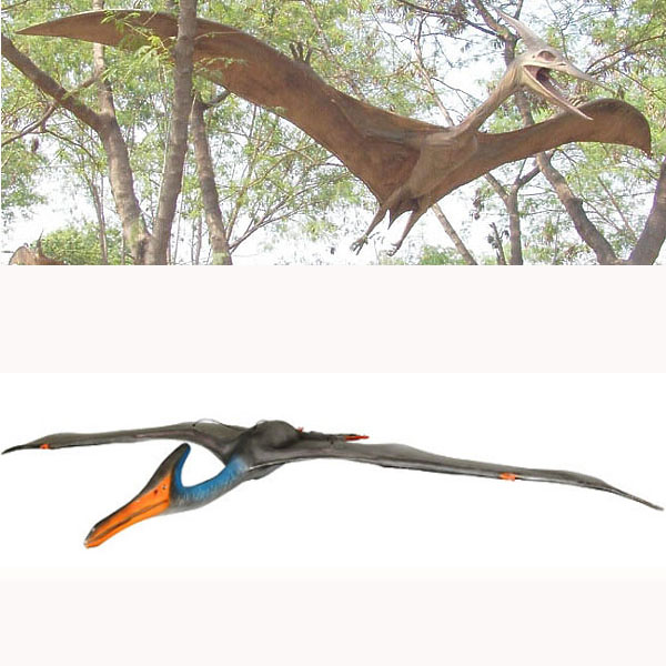 Ornithocheirus - JungleKey.fr Image